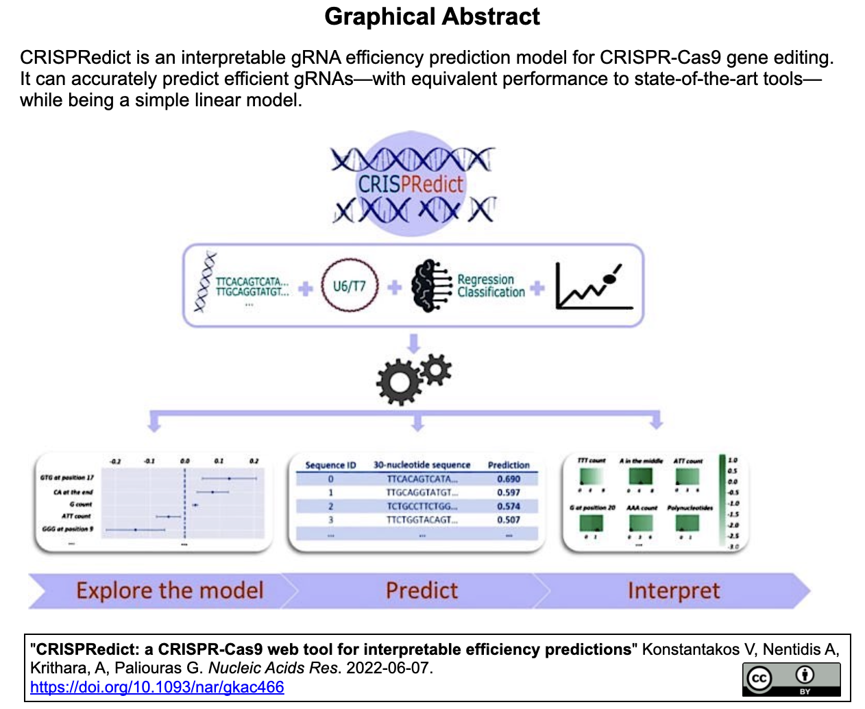 [20220611更新] CRISPRedict: CRISPR-Cas9遺伝子編集の効率予測をシンプルにかつ解釈可能にした : crisp_bio