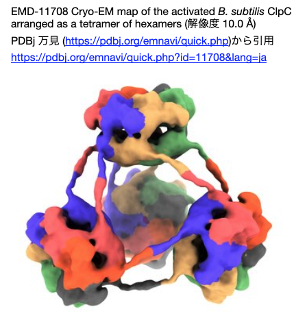 バクテリアにおいて標的タンパク質分解を実現するBacPROTACs登場 : crisp_bio