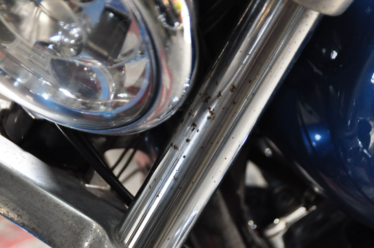 H-D '05 FXDL 整備記録 Vol.01 : [コールドターキーエーエス]ハーレー カスタムショップ 静岡