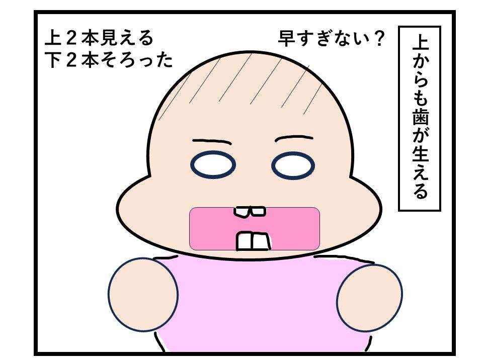 5か月の成長 : ゆんちゃん成長記録