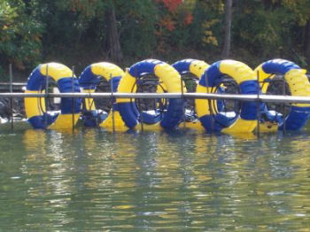 サイクルロード ～自転車への道／暑い夏でも自転車で出かける｜ GravityBike: 水上自転車: Waterpillar: 節電効果 ...