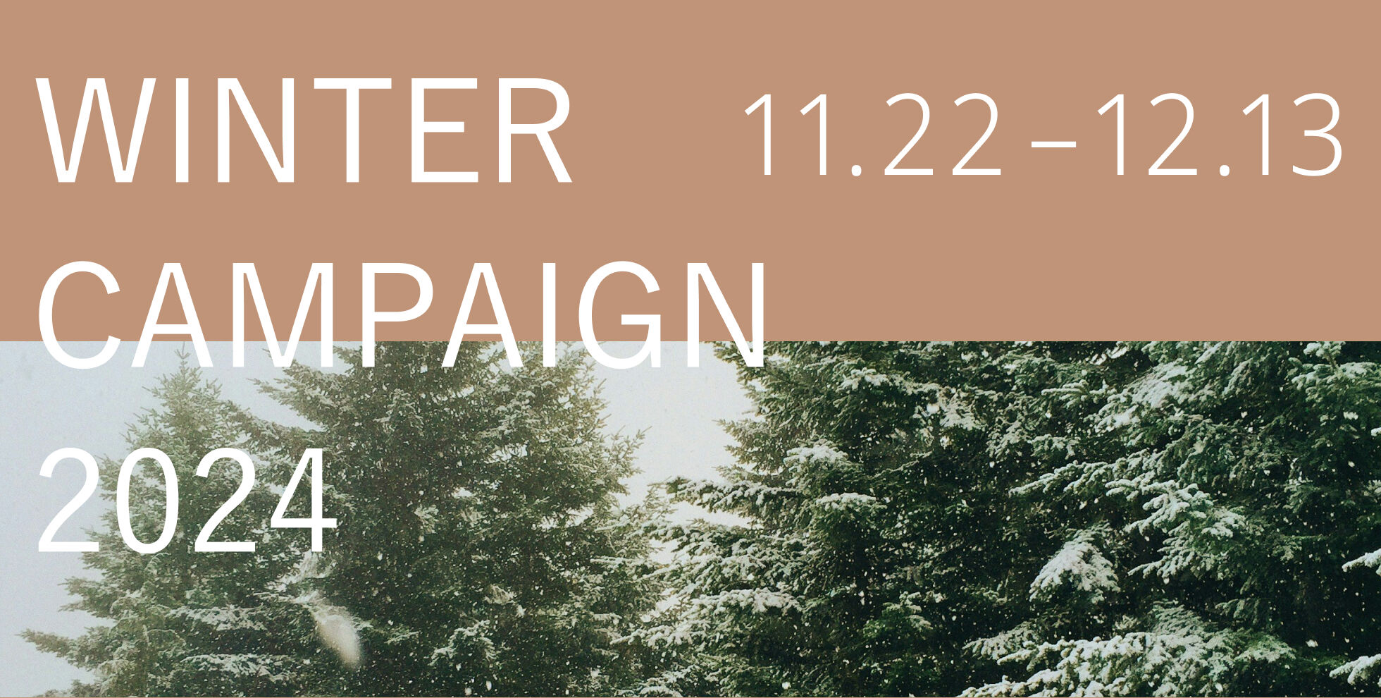 iichiからのプレゼント☆】10%OFF お得クーポン♡ ( 期間：11/22～12/13 ) : DAINA DESIGN