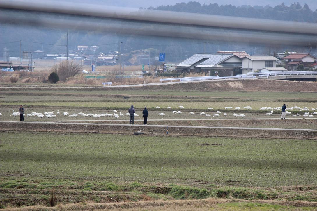 Jesse Cook “ Azul ” : on Many sunday