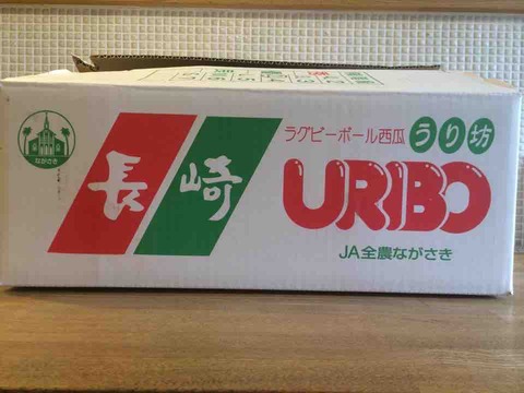 URIBO : ダンボタニカルアート