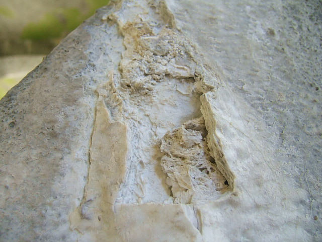 お気楽アルプ日記 vol.2 : 大宮橋のメヌエット - livedoor Blog（ブログ）