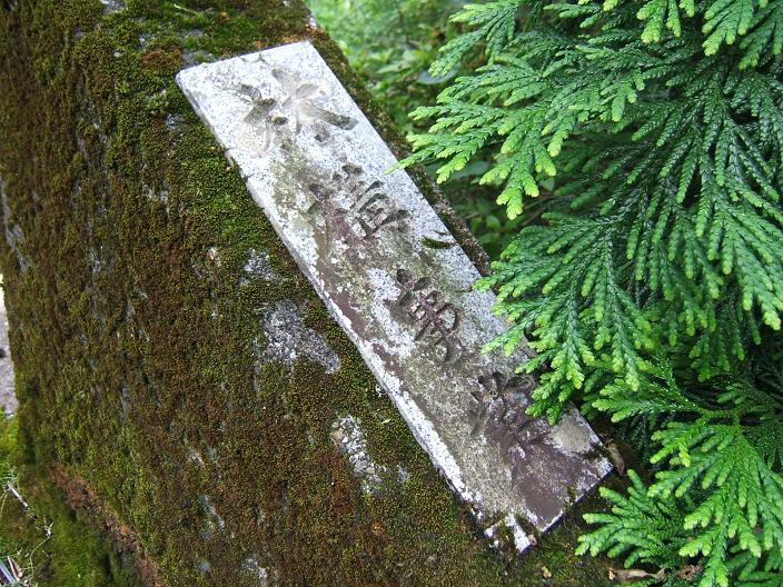 お気楽アルプ日記 vol.2 : 林構事業～出口橋 - livedoor Blog（ブログ）