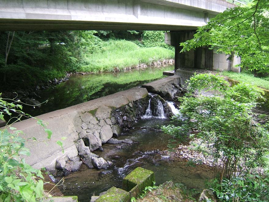 お気楽アルプ日記 vol.2 : 林構事業～出口橋 - livedoor Blog（ブログ）