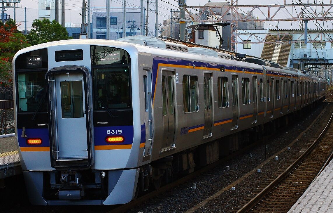 南海高野線撮影(2024秋)10～8300系4両～ : 新適鉄