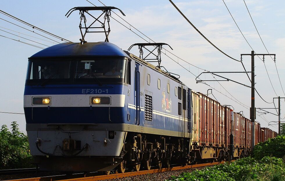 山陽本線貨物撮影(2023,秋)14～EF210-1～ : 新適鉄【丹鉄・宮舞地方・近鉄・南海・貨物列車メイン】