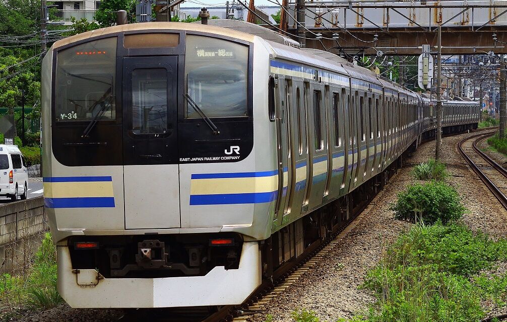 首都圏のJR電車たち(2024,6)6～総武・横須賀線のE217系～ : 新適鉄