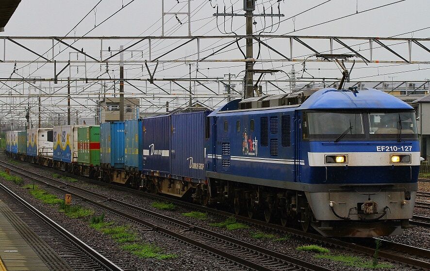 名古屋エリア貨物撮影(2023,9)5～EF210-100新塗装～ : 新適鉄