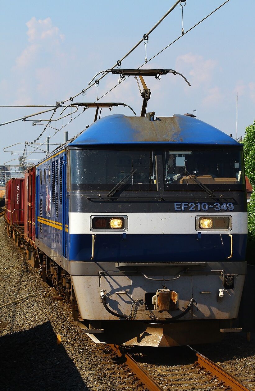 カモレコレクション : 新適鉄