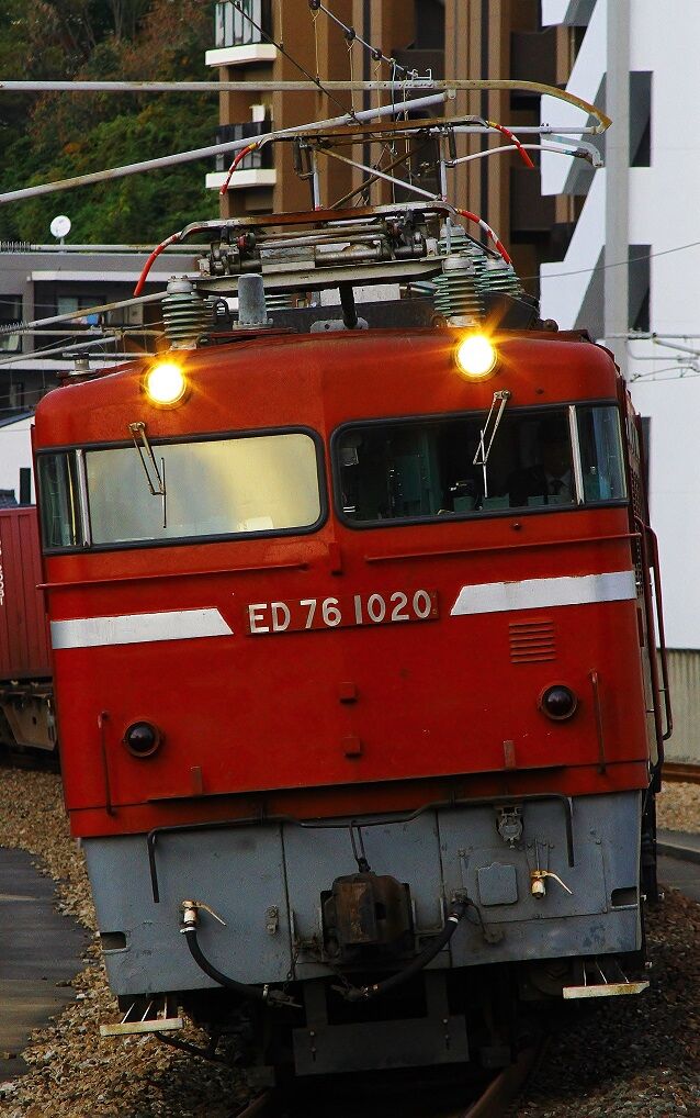 ED76-1020(2023,11) : 新適鉄
