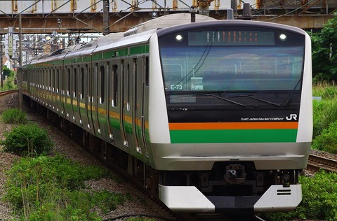 首都圏のJR電車たち(2024,6)3～湘南新宿ラインのE233系～ : 新適鉄