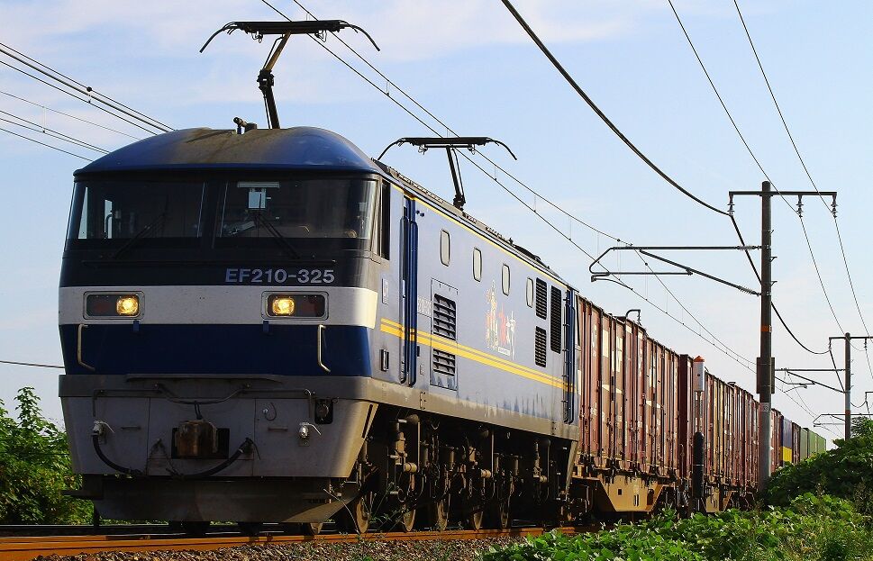 山陽本線貨物撮影(2023,秋)5～EF210-300(吹)①～ : 新適鉄
