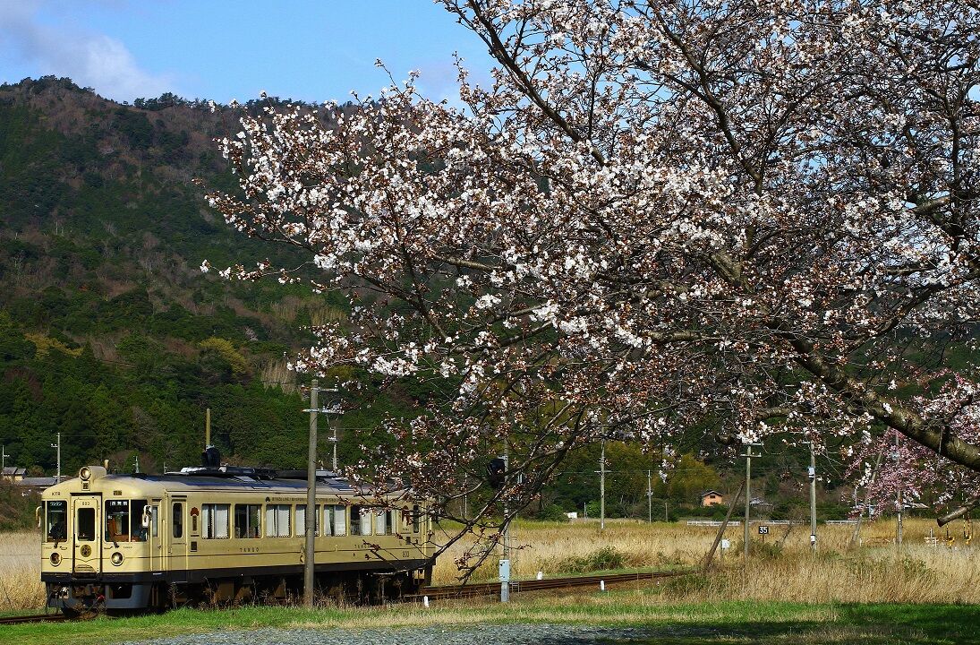 第26回京都丹後鉄道15～KTR800形803②～ : 新適鉄