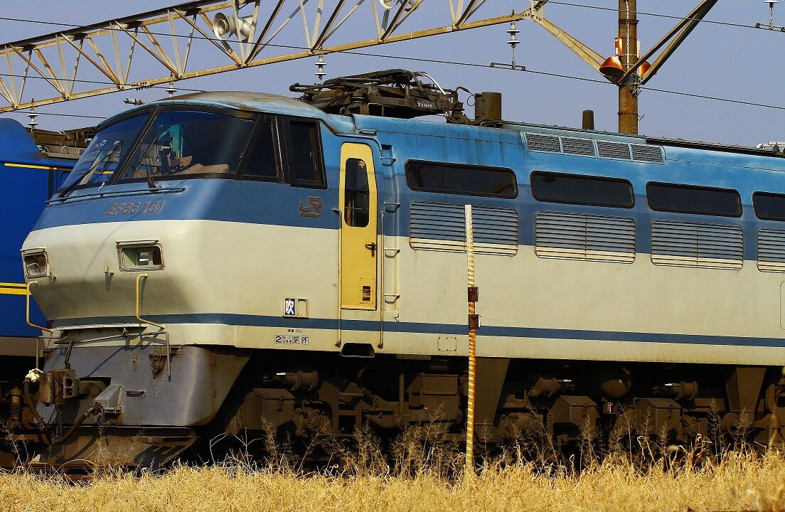 吹田機関区留置のEF66(2025,1) : 新適鉄