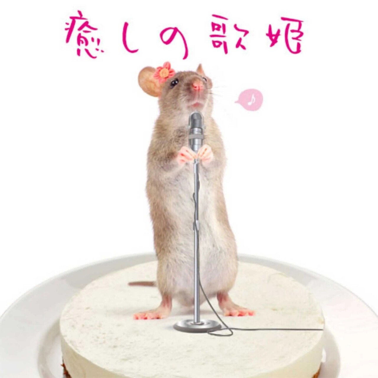 癒しの歌姫 : dcba0987のblog