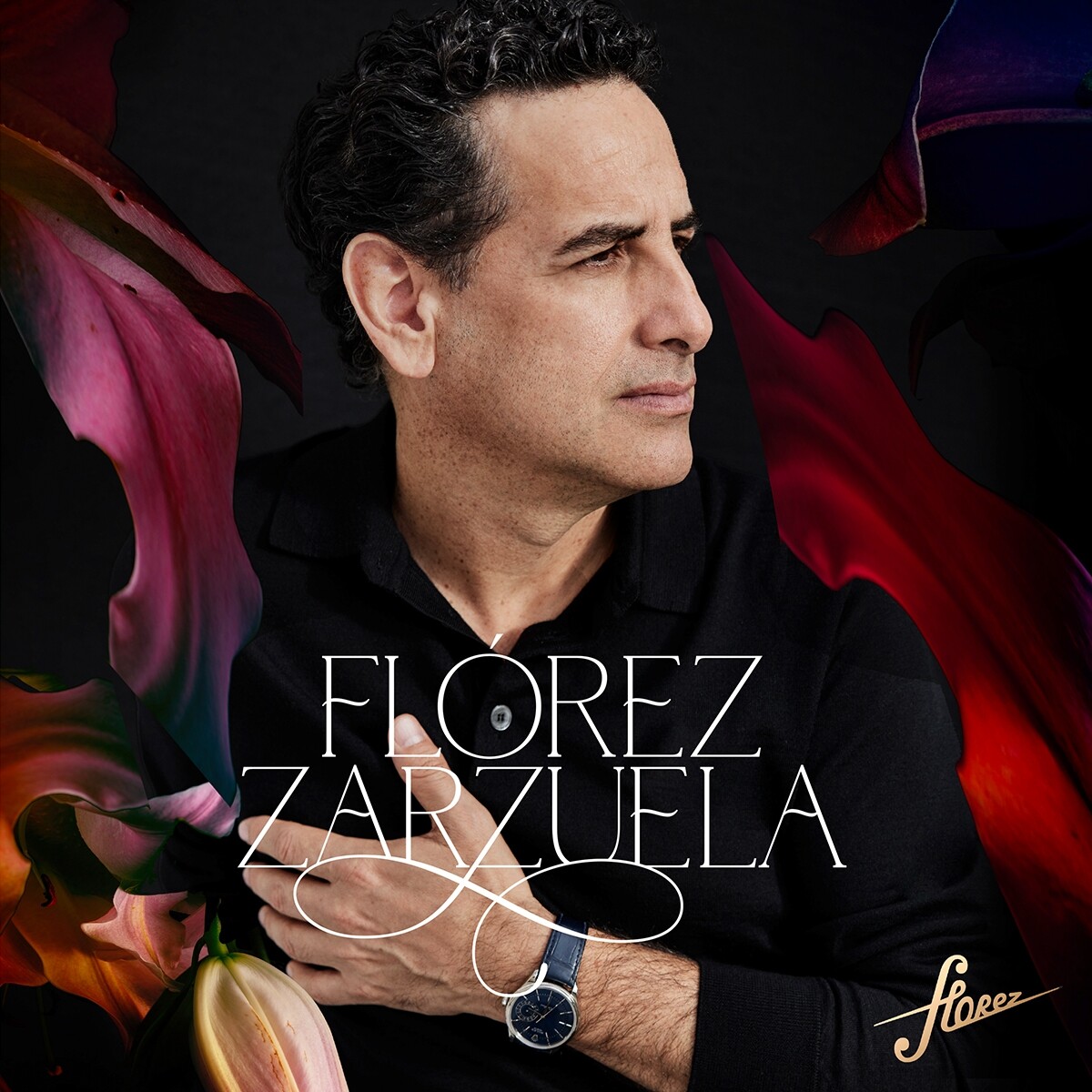 フアン・ディエゴ・フローレス/サルスエラを歌う : dcba0987のblog