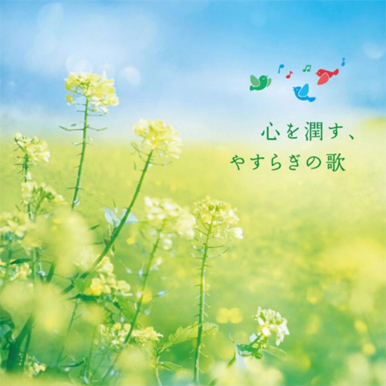 安らぎの歌 : dcba0987のblog