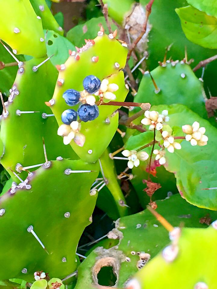 ウトコ ディープシーセラピー （UTOKO） : ちょっとおでかけ♪