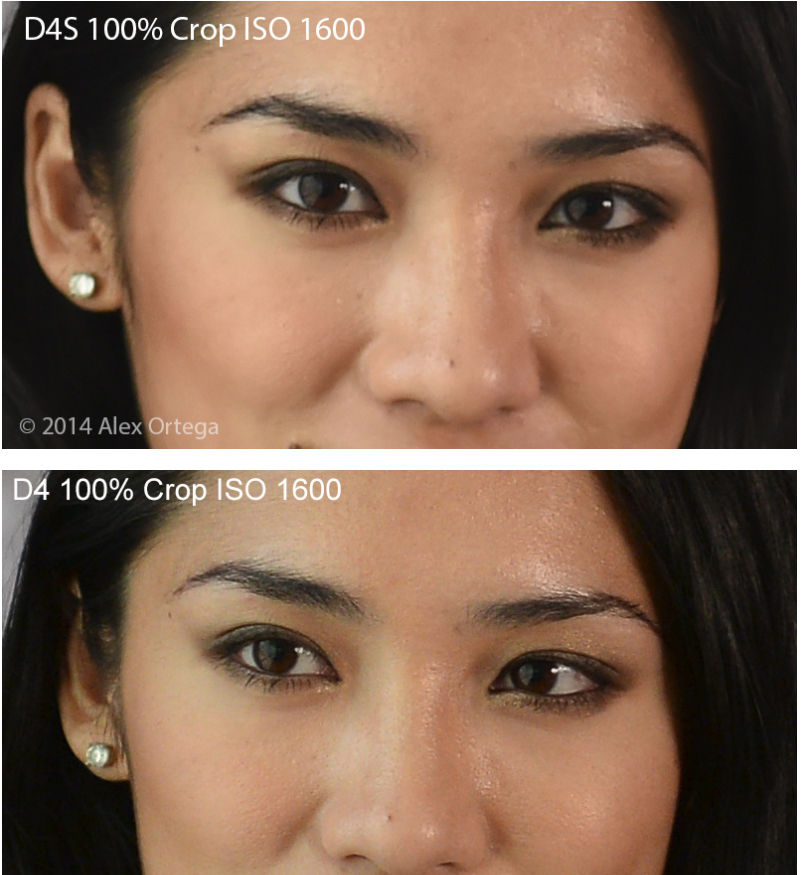 デジカメ情報まとめ : ニコン「D4s」vs「D4」感度別画質比較とサンプル画像が多数掲載