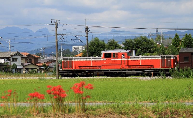 信越線 群馬八幡～安中でDD51PP訓練列車を撮影 2 : 電気屋の鉄道資料館