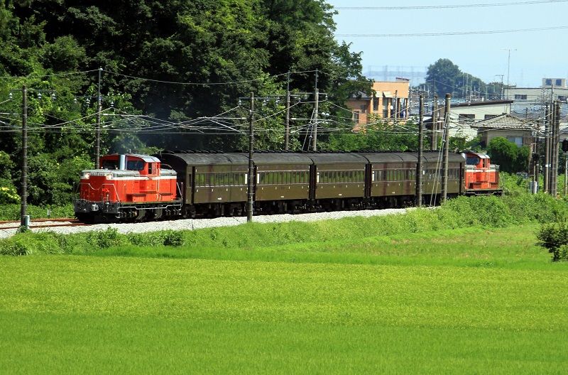 8/23 信越線DD51PPの旧客牽引訓練運転 2往復目の下り : 電気屋の鉄道資料館