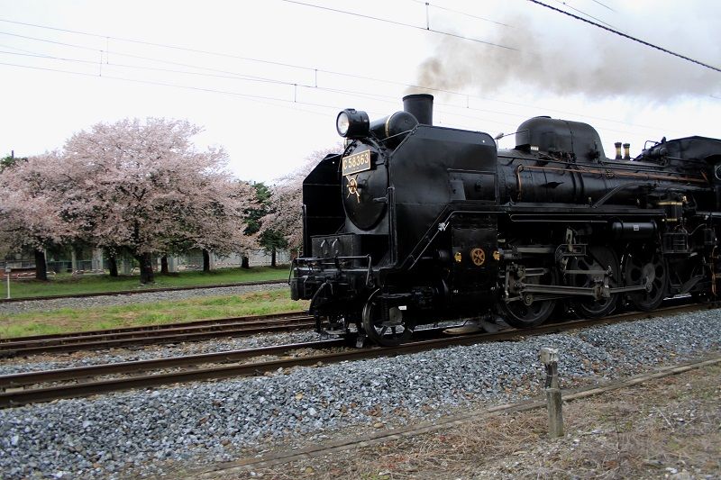 ぎっくり腰ですが、これだけは！ 武州原谷の残り桜とC58 : 電気屋の鉄道資料館