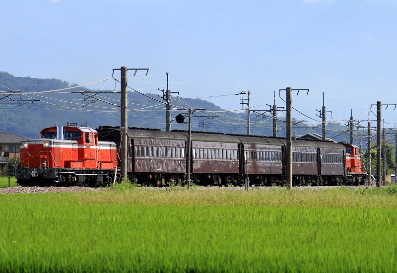 8/23 信越線DD51PPの旧客牽引訓練運転 1往復目の下り : 電気屋の鉄道資料館