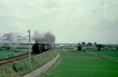 レール＆KQ倶楽部 : 九州のSL追っかけ旅 D51型＃4