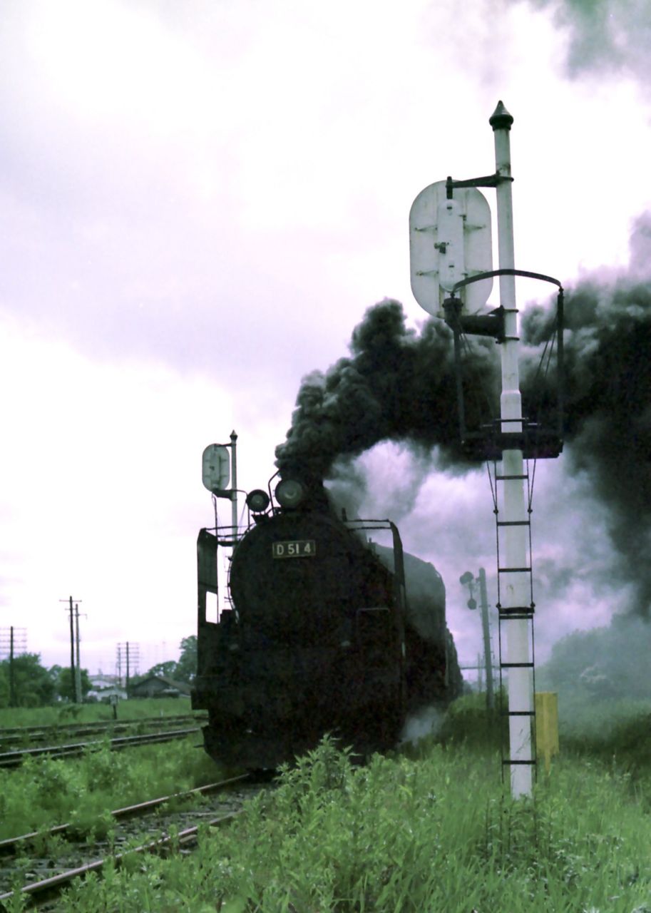 レール＆KQ倶楽部 : D51