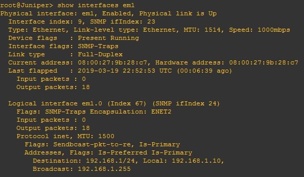 「show interface」の表示粒度の比較 : 補足のためのブログ