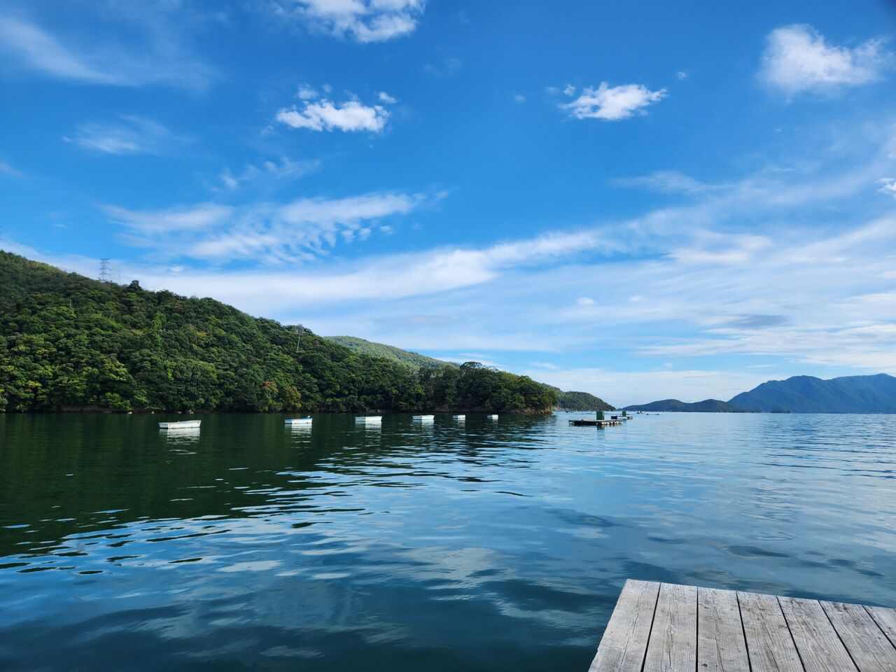 Dide ロッド製作＆釣行などのblog:昨日の若狭本郷