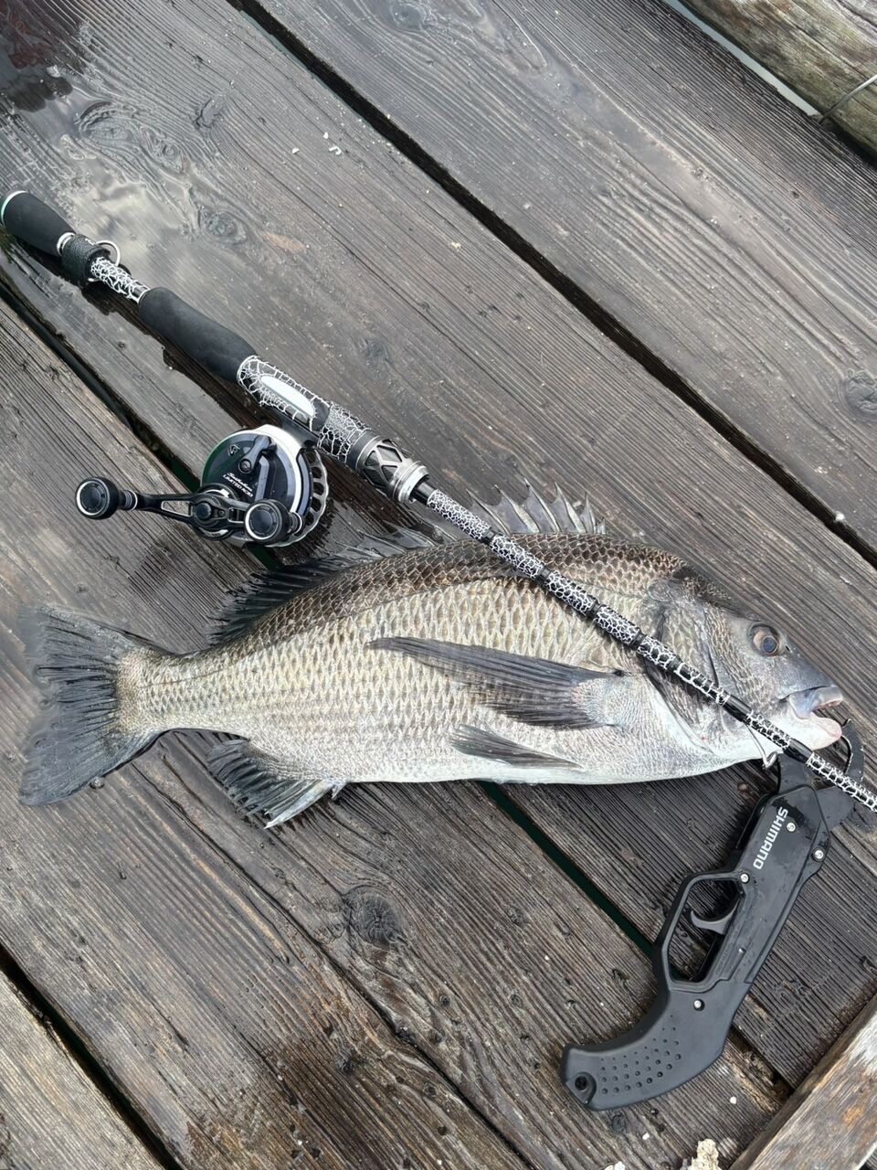 Dide ロッド製作＆釣行などのblog:南伊勢町下津より