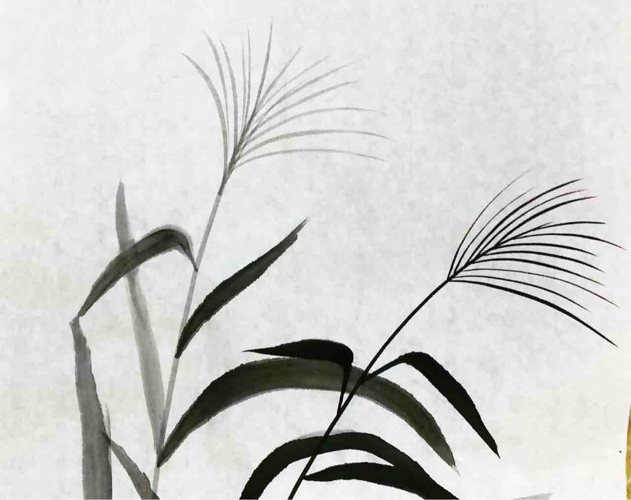西日暮里第二日曜教室 木とススキを描く : 橙月水墨画教室 Sumi 西日暮里第二日曜教室 木とススキを描く : 橙月水墨画教室 Sumi