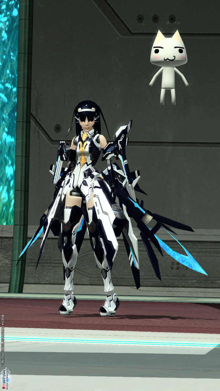 PSO感謝祭2014に参加してきました。そしてエステしました。 : PSO2 日々精進