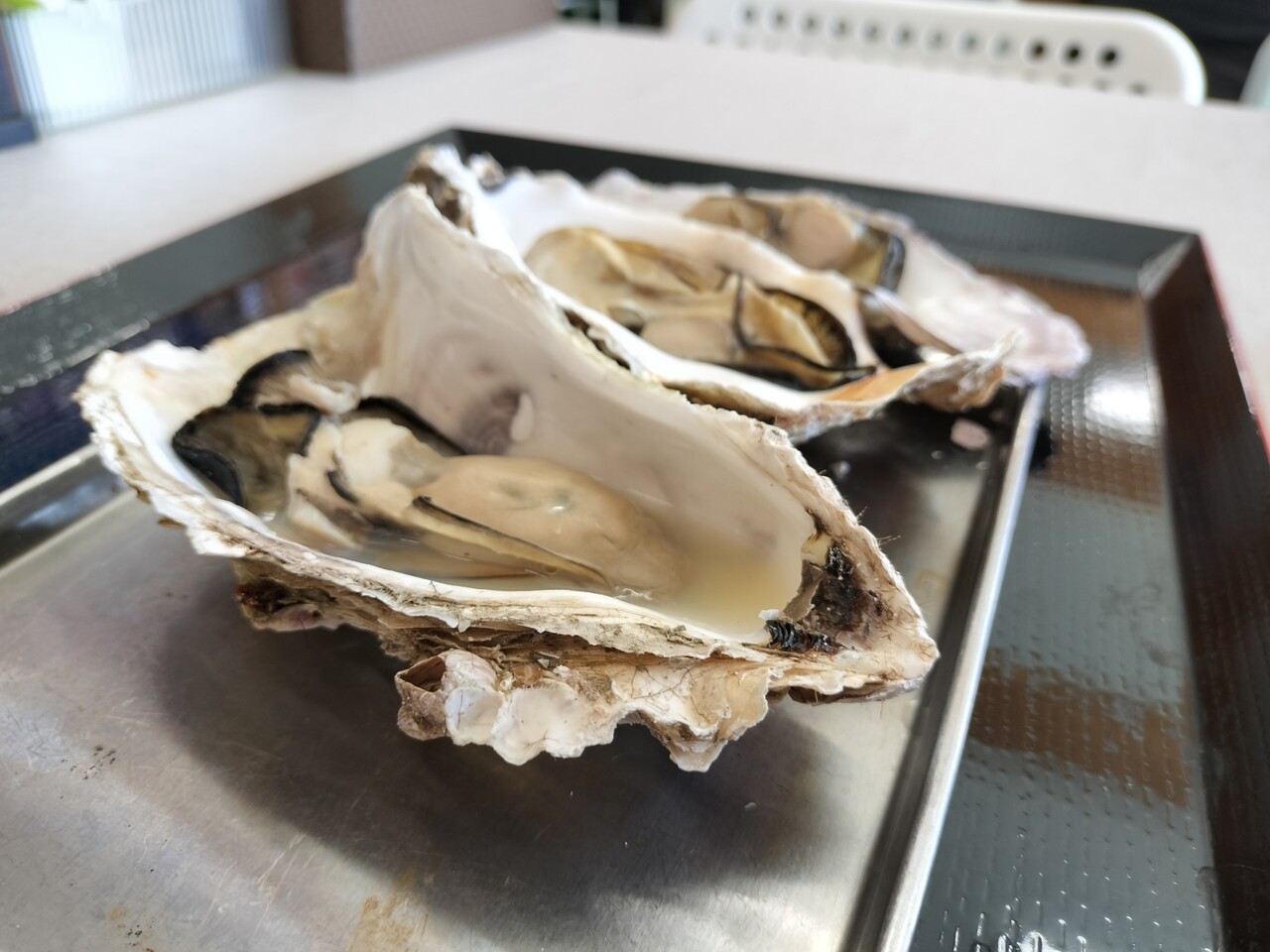 せたな町にあるヤマヨ斉藤漁業「漁師の直売所」の浜の母さん食事処 にて ウニ丼と 焼きホタテ、牡蠣も追加でキメたら バリ美味で至福でした ...