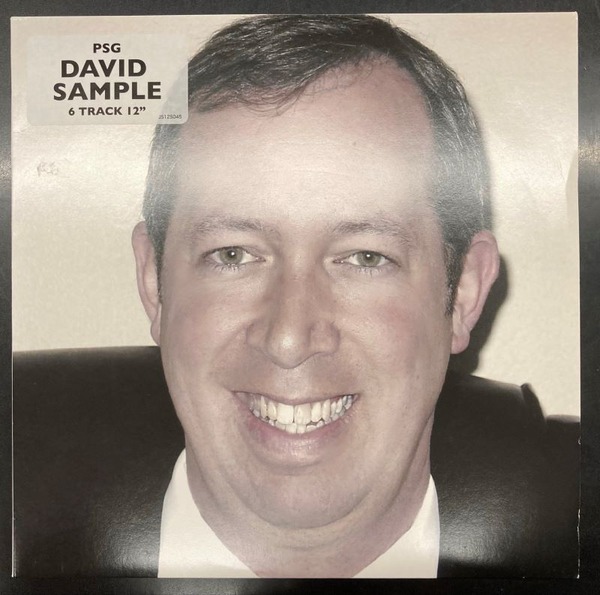 【中古新入荷情報】稀少★PSGデビュー作「DAVID」の12”シングルレコード入荷いたしました！ : ディスクユニオン吉祥寺店