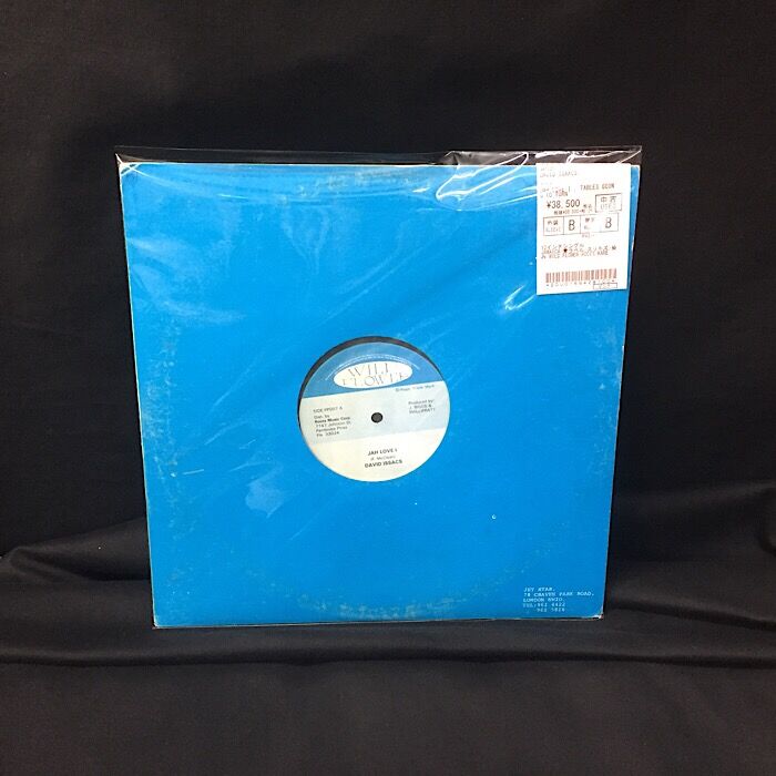 シンガーDAVID ISAACS の名曲12インチシングルをピンポイント入荷！！ : ディスクユニオン渋谷クラブミュージックショップ