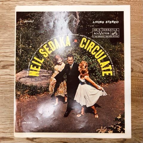 色校正ジャケット多数入荷！大瀧詠一, BEACH BOYS, T.REX, ROLLING STONES 他 : ディスクユニオンシネマ館 ...