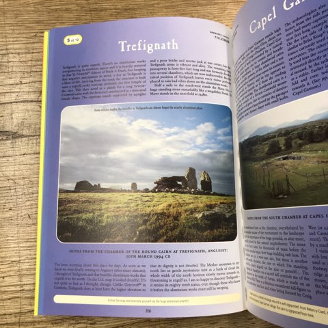 JULIAN COPE「THE MODERN ANTIQUARIAN」入荷!! : ディスクユニオンシネマ館・ブックユニオン新宿