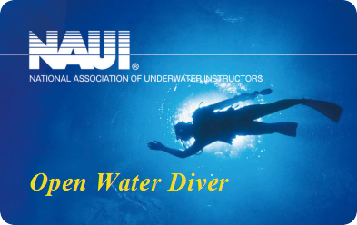 ダイビングライセンス取得キャンペーン 2,000円オフ : 横浜のダイビングショップ｜セブンのブログ｜Diary of SEVEN 7