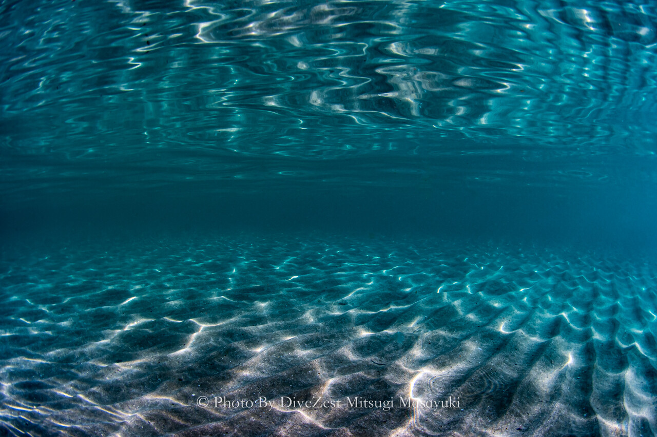 Senko-Hanabi : 撮ったどー😀