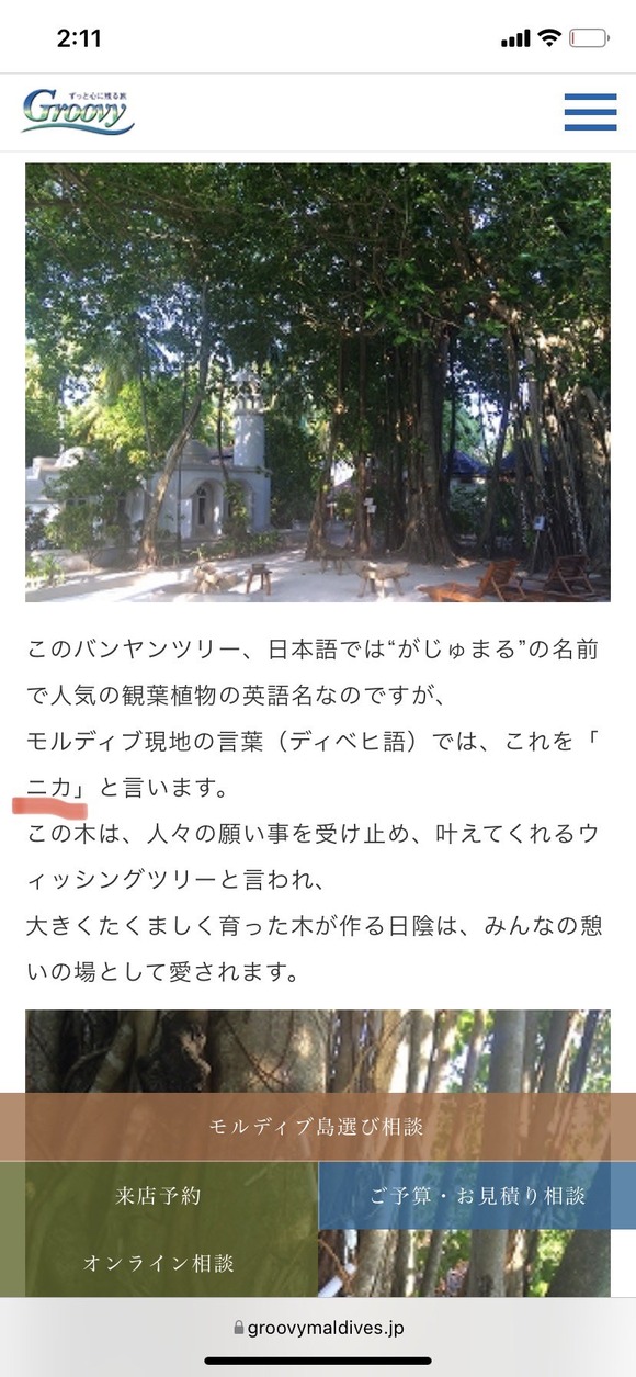 【ワンピース】シャンクス「この戦いを終わらせにきた（ニカの実継承者が危険や！）」←こういうことだったんやな… : なんJクエスト