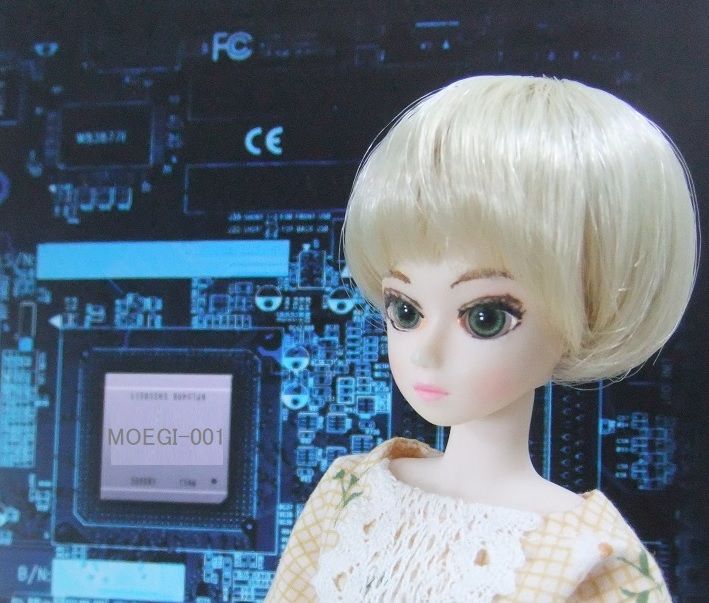 GHOST IN THE SHELL : フィギュアとDollの狭間で