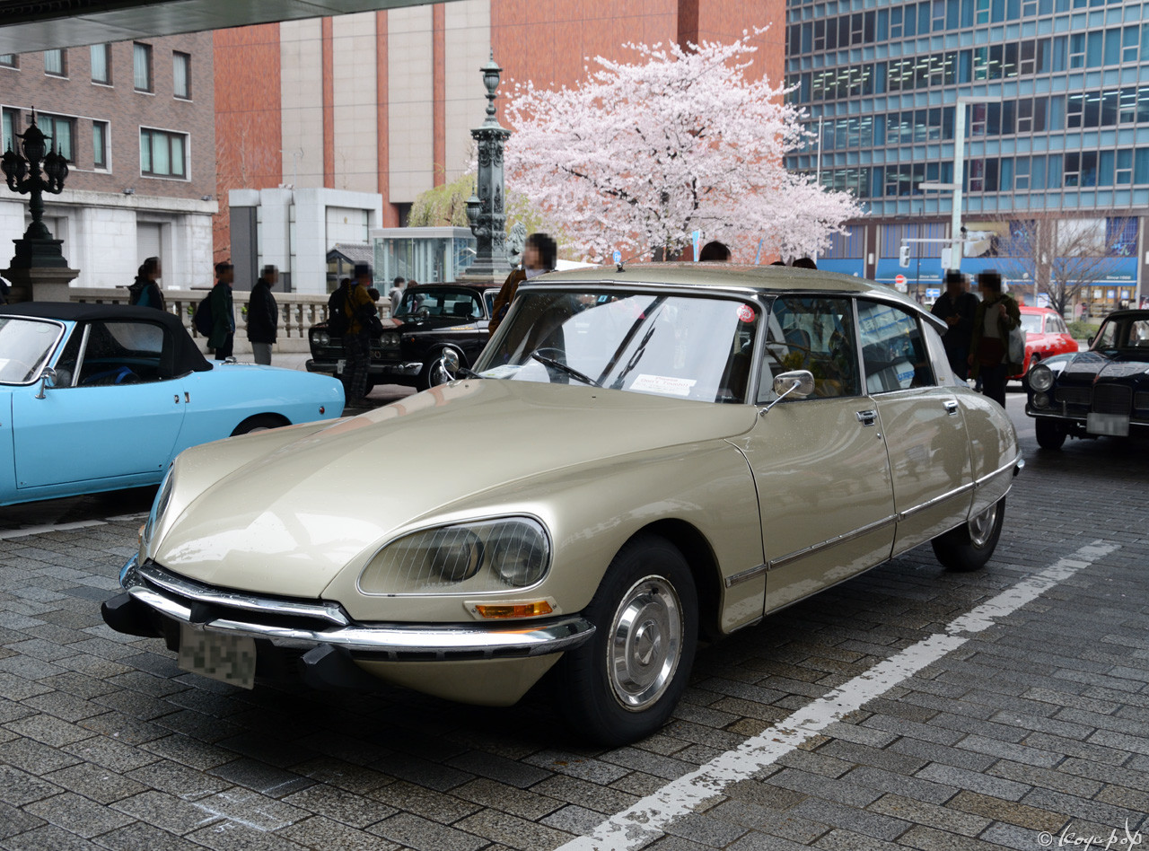 Koyapop’s LIBRARY ☆ BEAUTIFUL CARS +1 ☆ : 日本橋のシトロエン DS