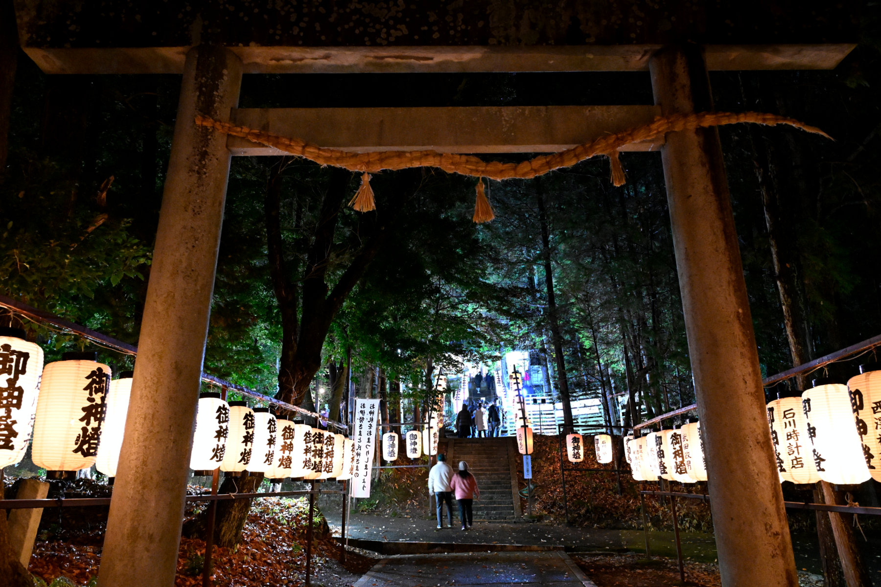 Zマウント レンズ / Z Mount Lens : dphoto.jp 作品撮りを楽しもう Zマウント レンズ / Z Mount Lens : dphoto.jp 作品撮りを楽しもう
