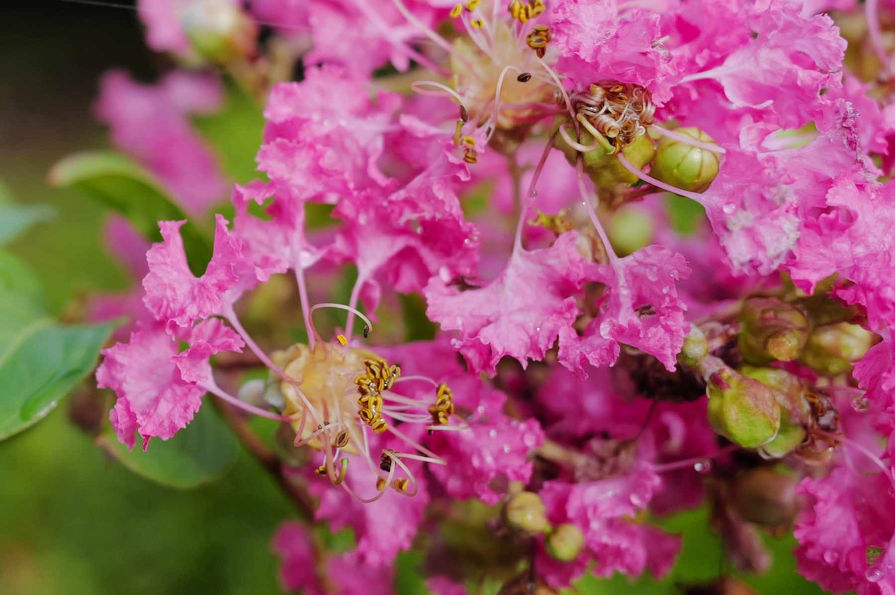 dphoto.jp : 写真を楽しむサイト