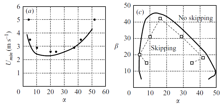 石の水切りの物理学 : DragonFlare Trail